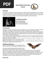 Vombate: Cocô em Forma de Cubo | PDF