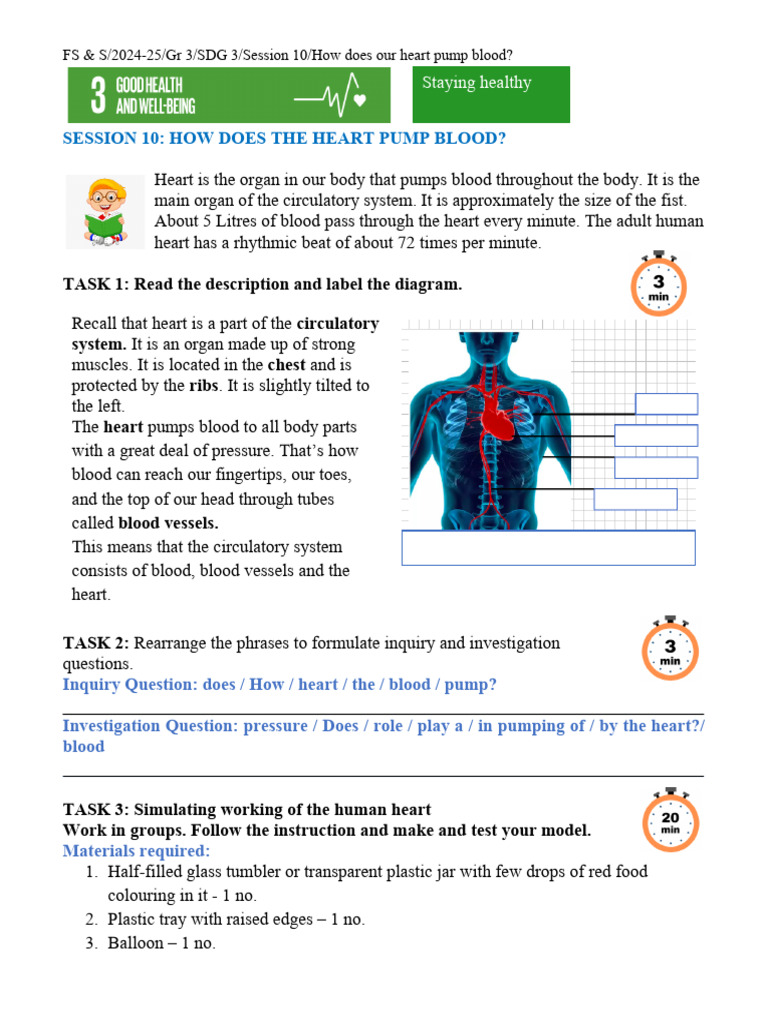 How the Heart Pumps Blood Explained | PDF | Heart | Blood