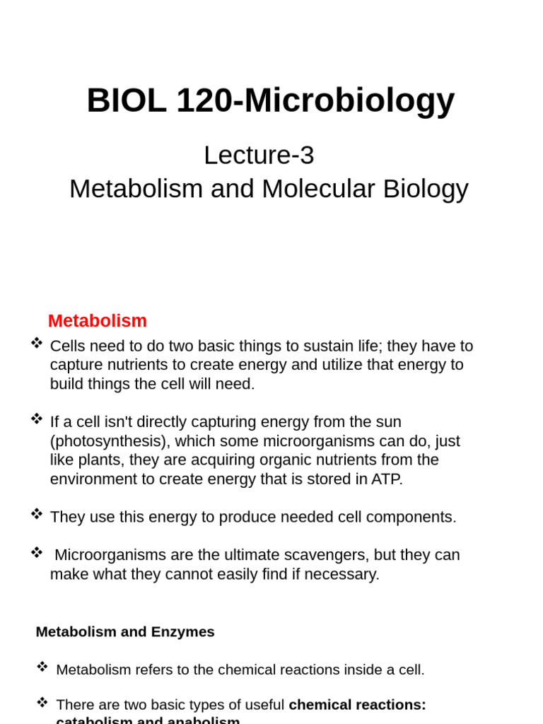 BIOL 120 Microbiology Presentation 3 | PDF | Cellular Respiration ...