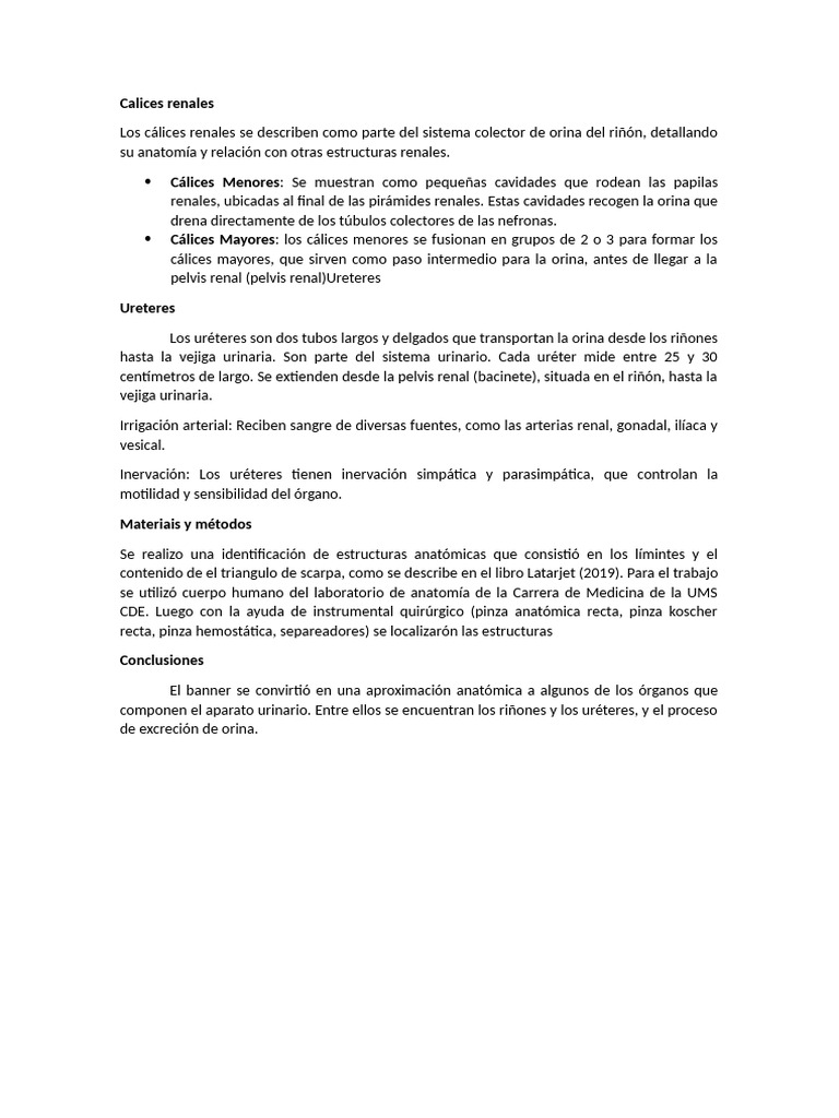 Anatomía de Cálices y Uréteres Renales | PDF