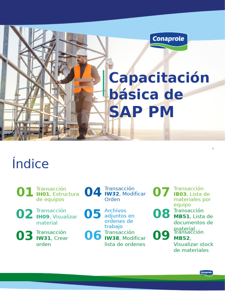 Capacitacion Basica SAP PM Sept 2024 v1 | PDF | Ajedrez