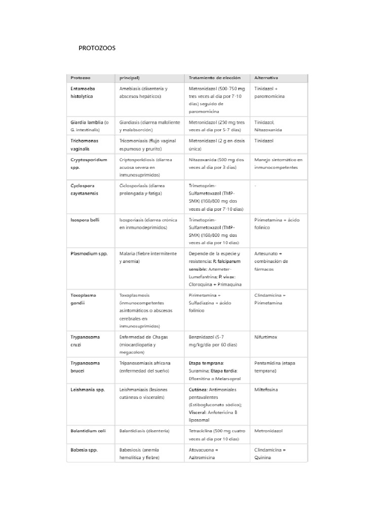 Cuadros resumen Hongos, parasitos, bacterias y tratamiento | PDF