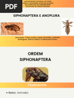 Sintomas da Tungíase e Cuidados | PDF | Doenças e distúrbios | Remédio