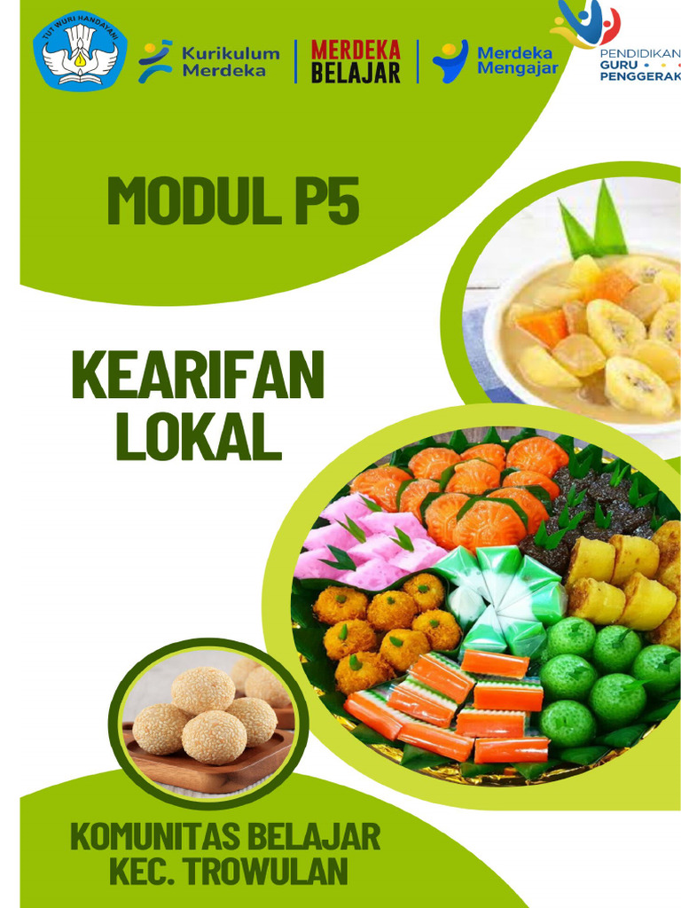 Contoh Modul p5 Fase b | PDF