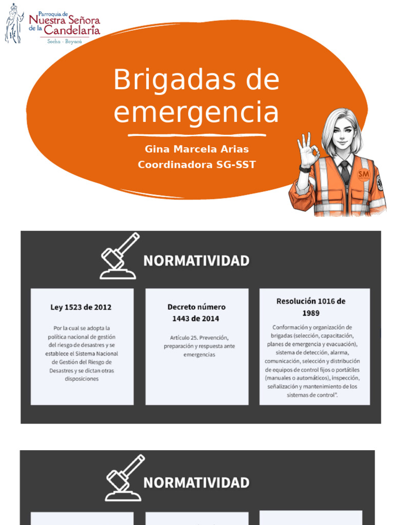 Brigadas de Emergencia | PDF | Riesgo | Tsunami