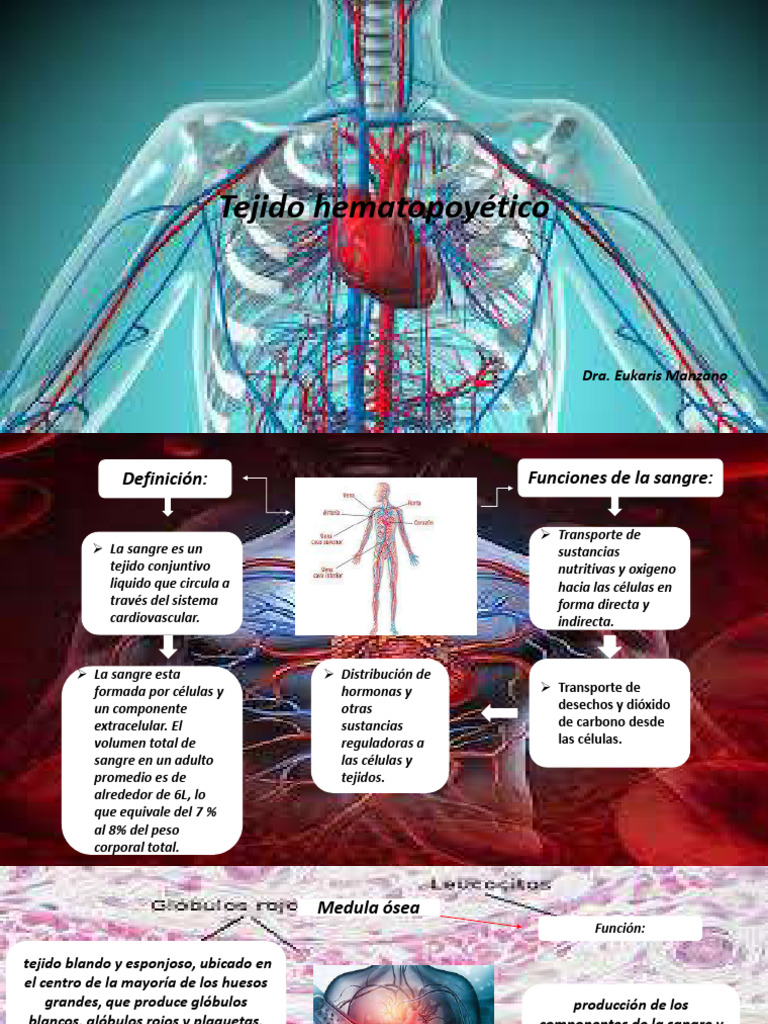 IMG_20240125_180828 | PDF | Sangre | Glóbulo rojo