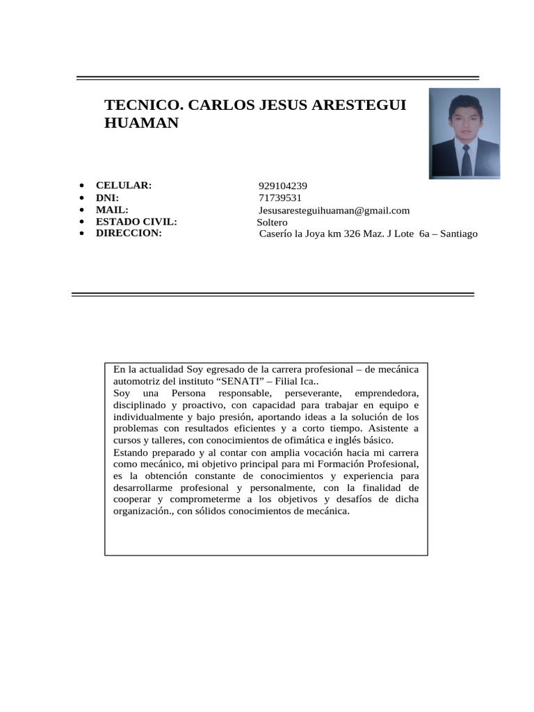 Curriculum Vitae 2022 CV Jesus.A | PDF | Vehículo de motor