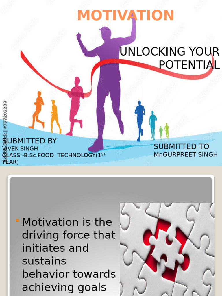 Motivation 12345 | PDF