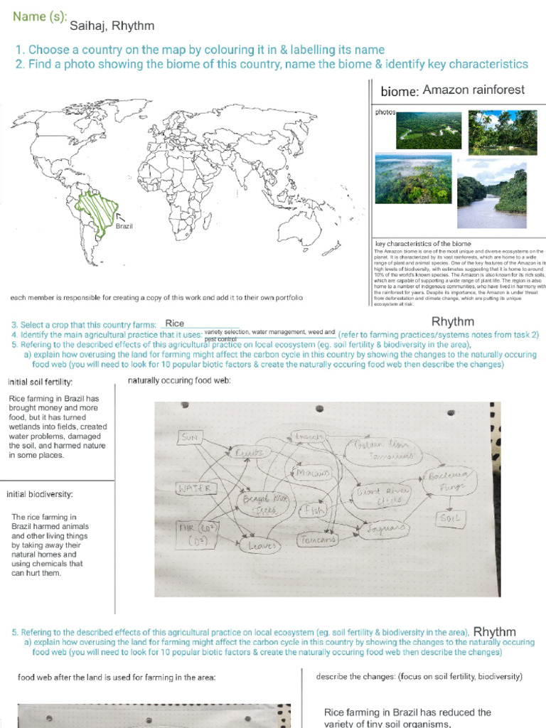 Impacts On Global Ecosystem (Rhythm) | PDF