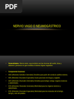 Inervación de La Laringe | PDF