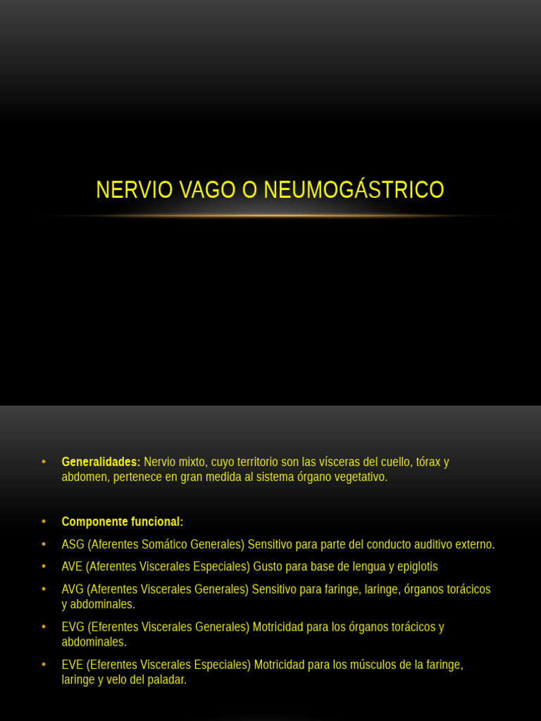 Funciones y Trayecto del Nervio Vago | PDF | Nervio vago | Laringe