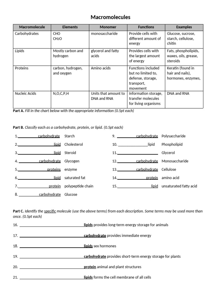 Macromolecule Assignment-1 | PDF | Carbohydrates | Lipid