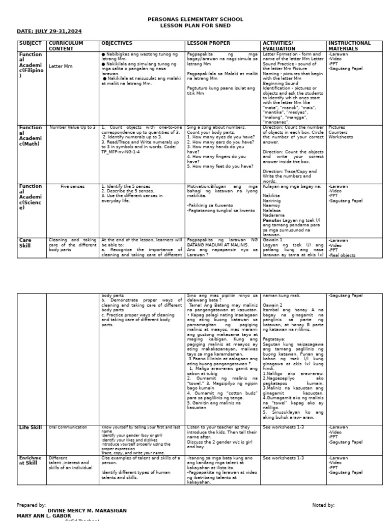 2024-2025 Sned Lesson Plan | PDF
