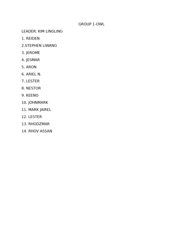 Team Leaders and Members List | PDF