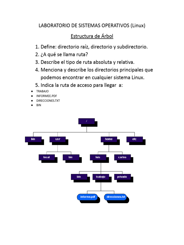 Estructura de Árbol-Linux | PDF