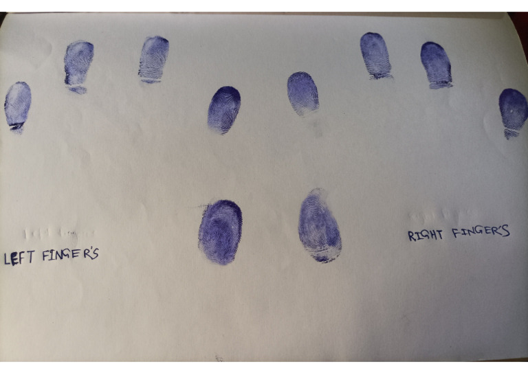 Finger Impression | PDF