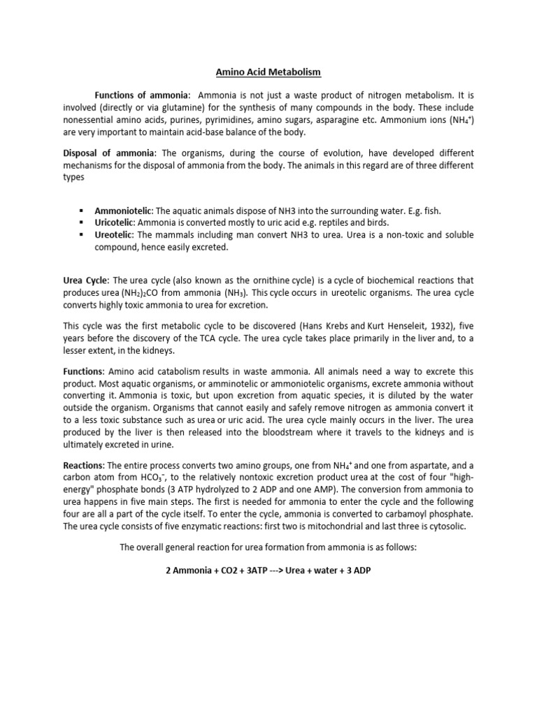 Module 2 Amino Acid Metabolism ABMRCP. 16857698073831.PDF (1) | PDF ...