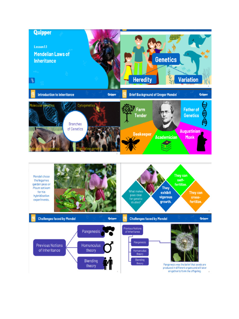 Mendelian-Genetics. | PDF