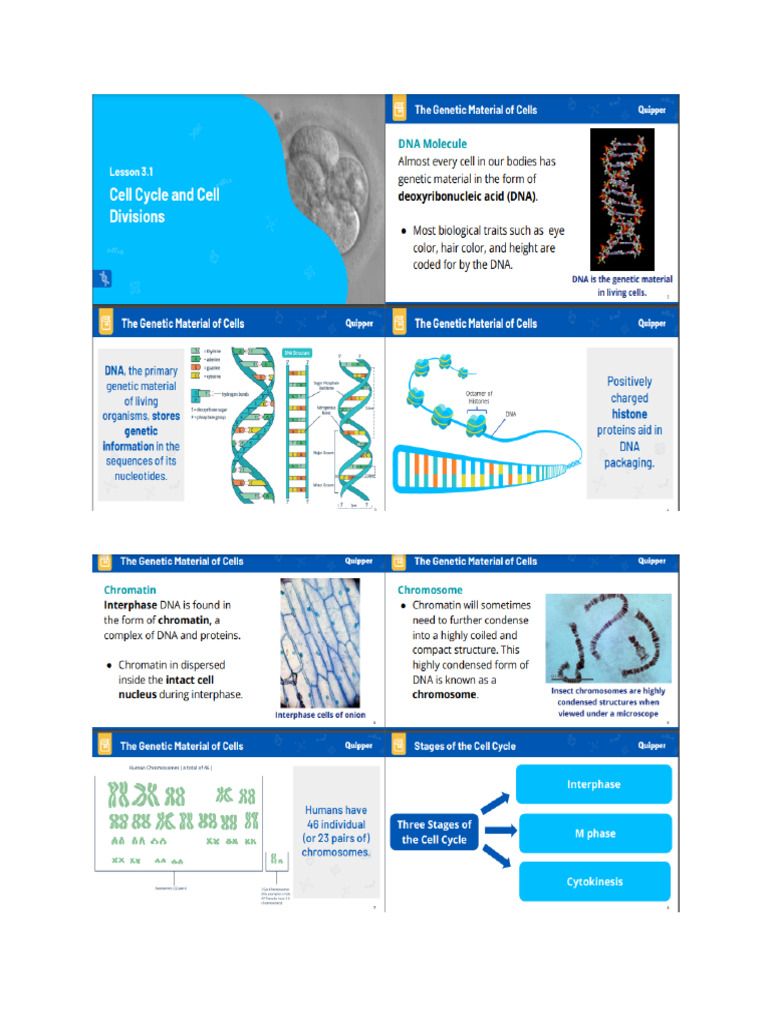 Cell Cycle Mitosis and Meiosis | PDF