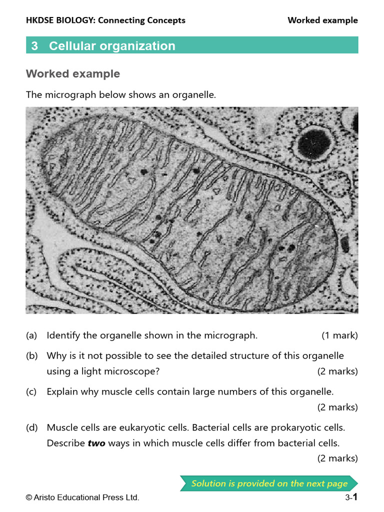 Ch03 Example e | PDF