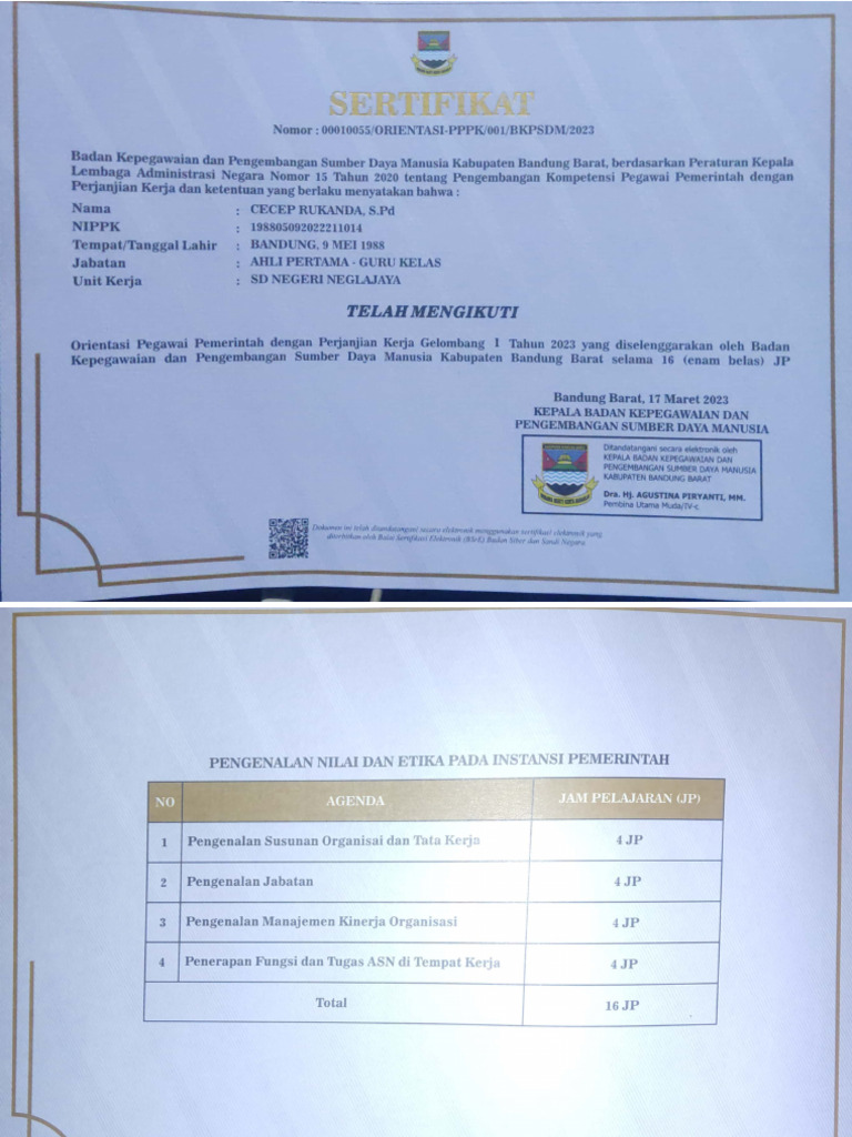 Sertifikat Mooc Cecep Rukanda | PDF