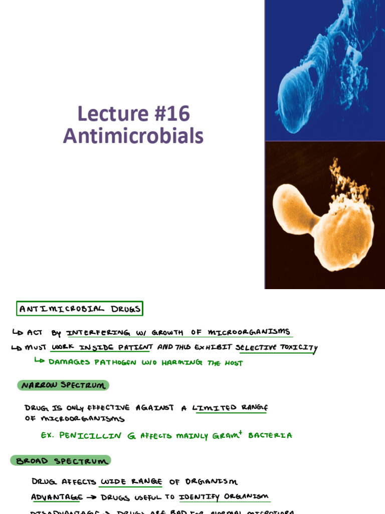 Lecture 16 - Antimicrobials | PDF