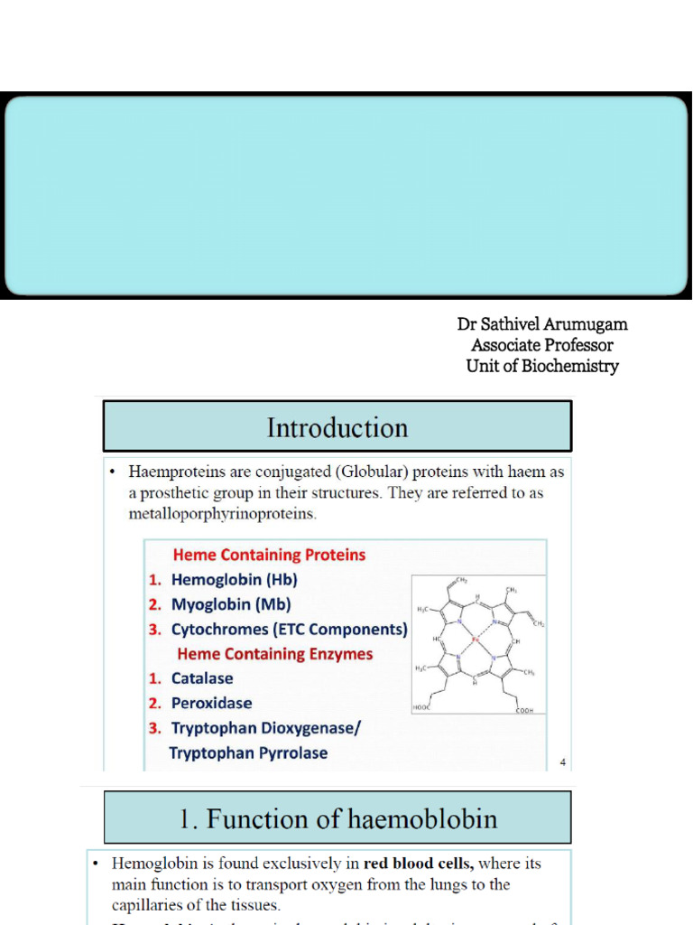 Haem Synthesis Porphyria | PDF