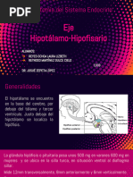2.7. Exploración Testicular. 2.8. Escroto. 2.9. Técnicas y Maniobras de ...