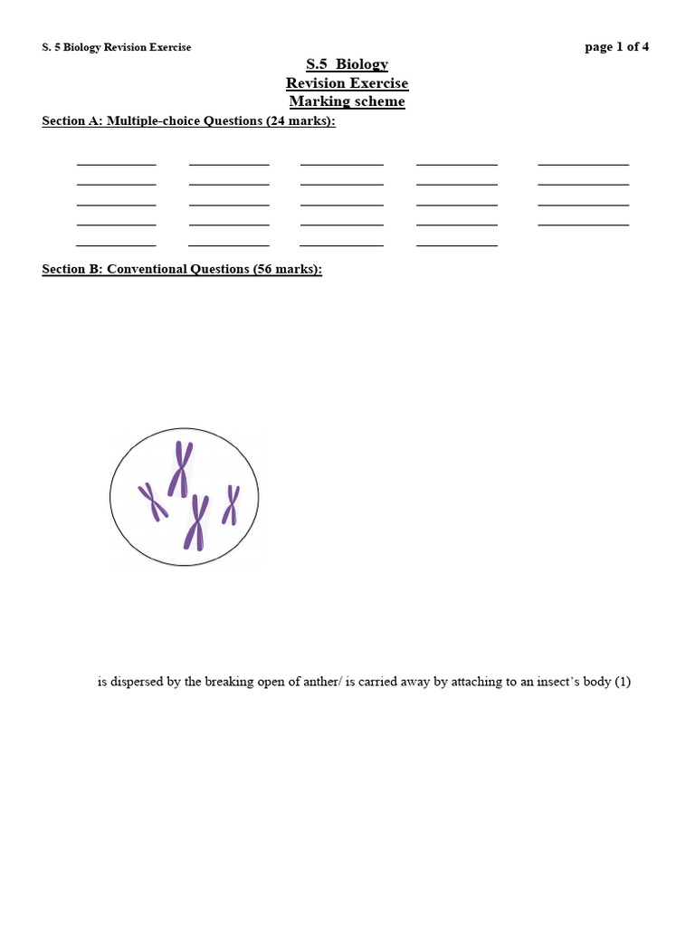 S.5 Biology Revision Exercise Guide | PDF | Synapse | Glucose