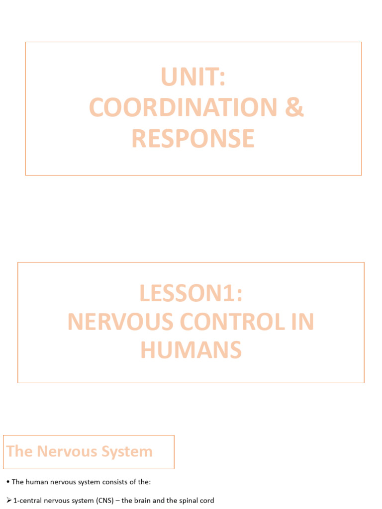 Unit Nervous System | PDF | Chemical Synapse | Neurotransmitter