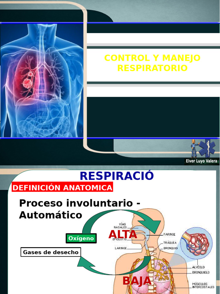 Control y Manejo del Sistema Respiratorio | PDF | Respiración | Sistema ...