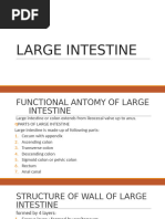 Purina Fecal Scoring Chart for Pets | PDF | Feces | Human Feces