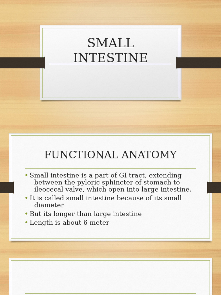 Small Intestine | PDF | Small Intestine | Gastrointestinal Tract