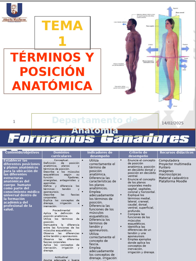 Tema 1 Términos y Posiciones Anatómicas | PDF | Términos anatómicos de ...