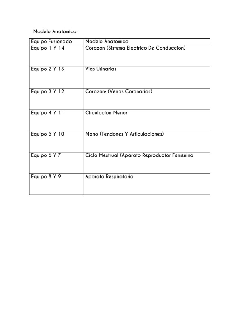 Modelo Anatomicos 5A MAT | PDF
