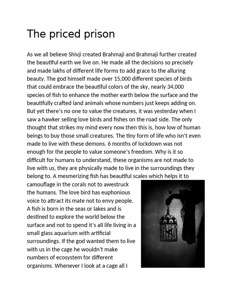 The Priced Prison | PDF