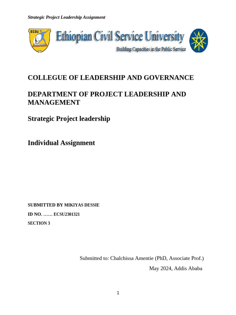 Strategic Project Leadership Individual Assignment | PDF | Strategic ...