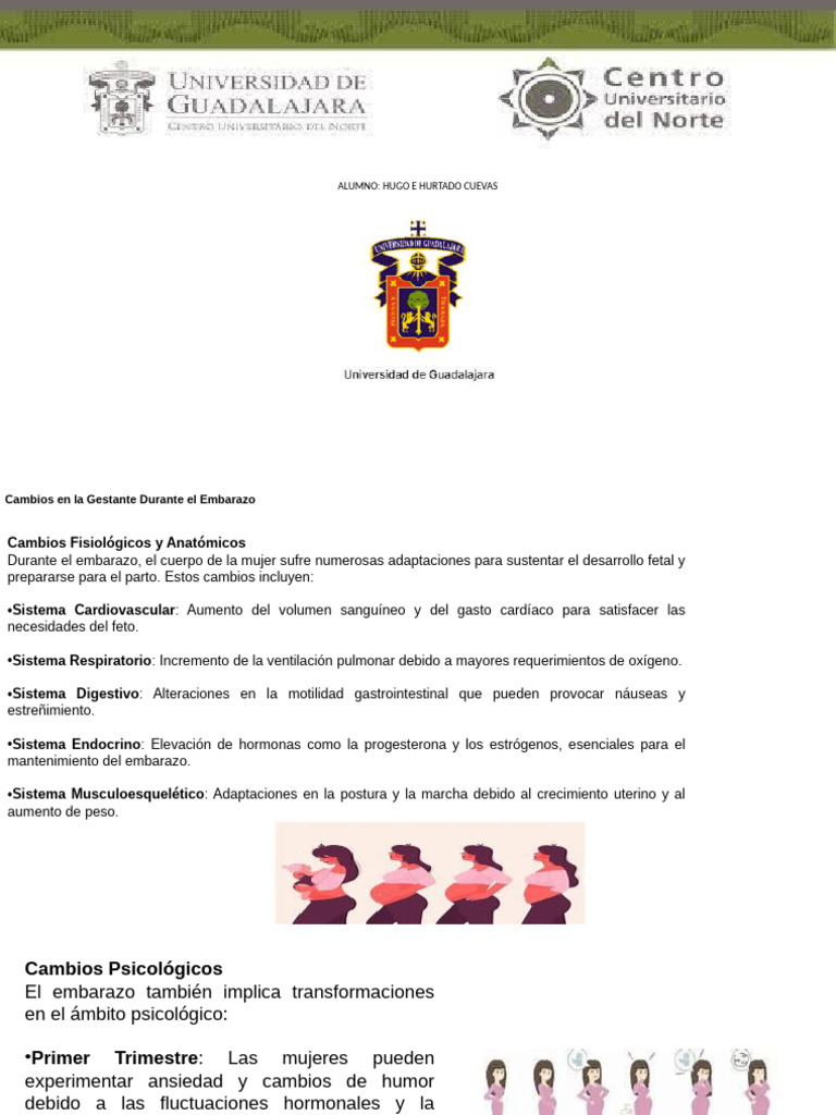 Obstetric I A | PDF | El embarazo | Feto