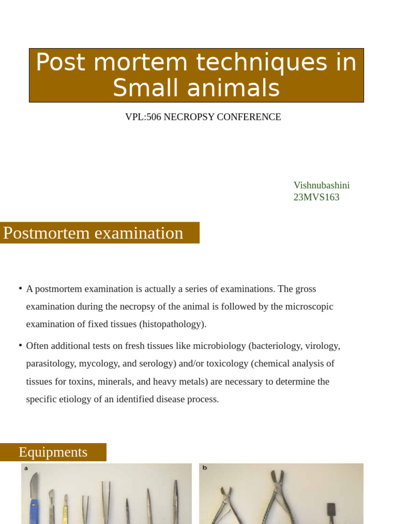 Post Mortem Techniques in Small Animals | PDF | Stomach | Pelvis