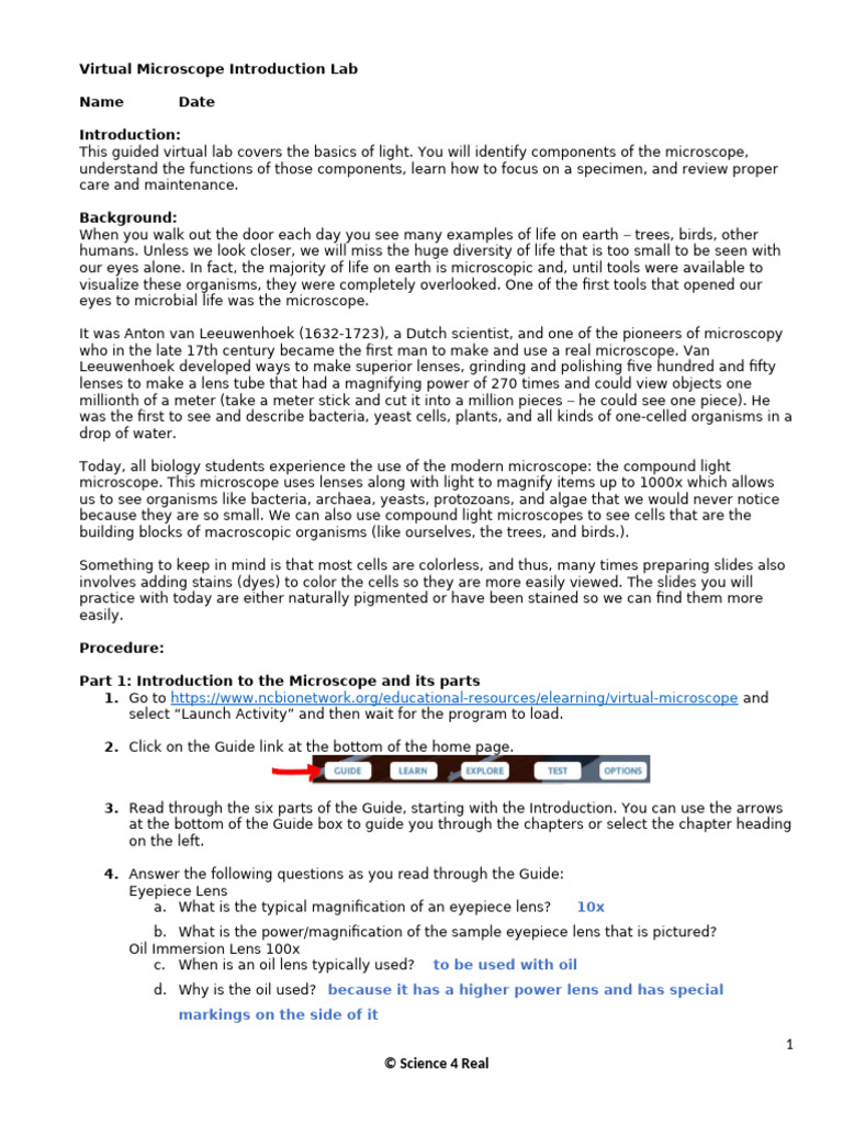 Virtual Microscope Introduction Lab DIGITAL FORM FIELDS | PDF | Microscope | Laboratory Equipment