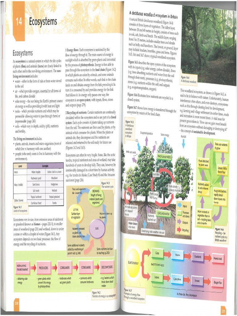 MYP Wider - World - Ch13 - Ecosystems | PDF