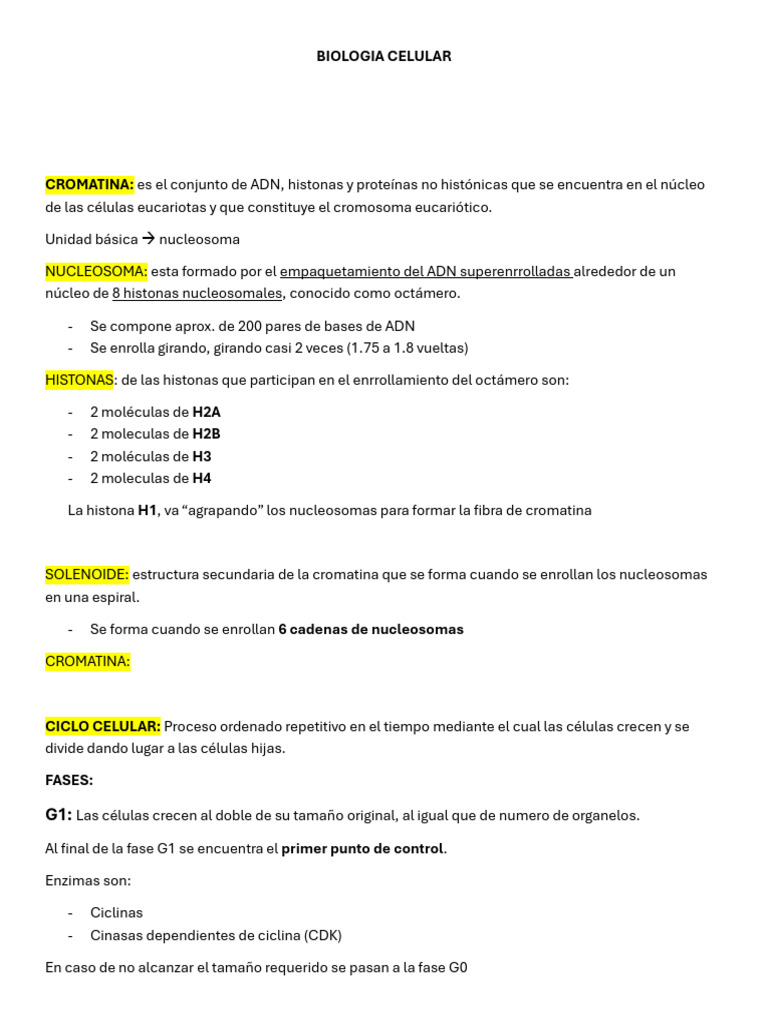 Biocel Ordi | PDF | Histona | Mitosis