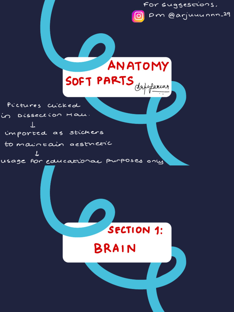Soft Parts Anatomy Overview | PDF