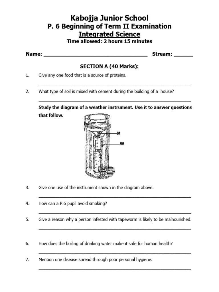 P6 Science BEGINNING OF TERM 2 | PDF | Chicken | Foods