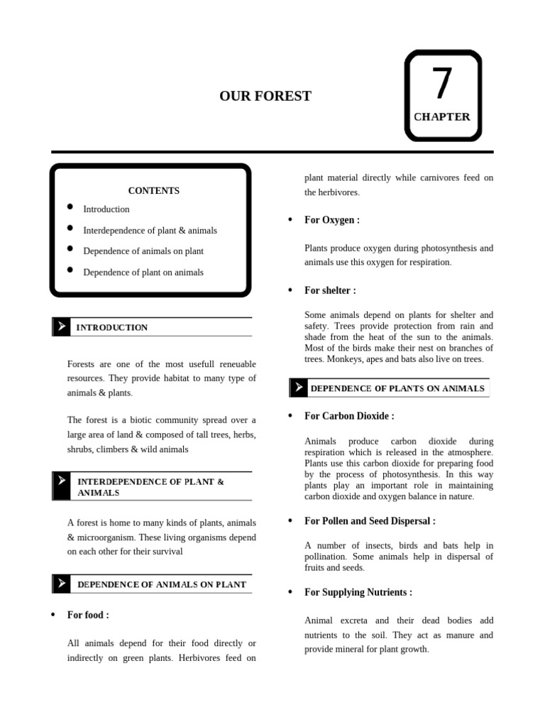 7. Our forest | PDF | Plants | Foods