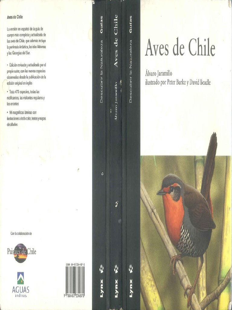 Aves de Chile Ilustrado Compress | PDF