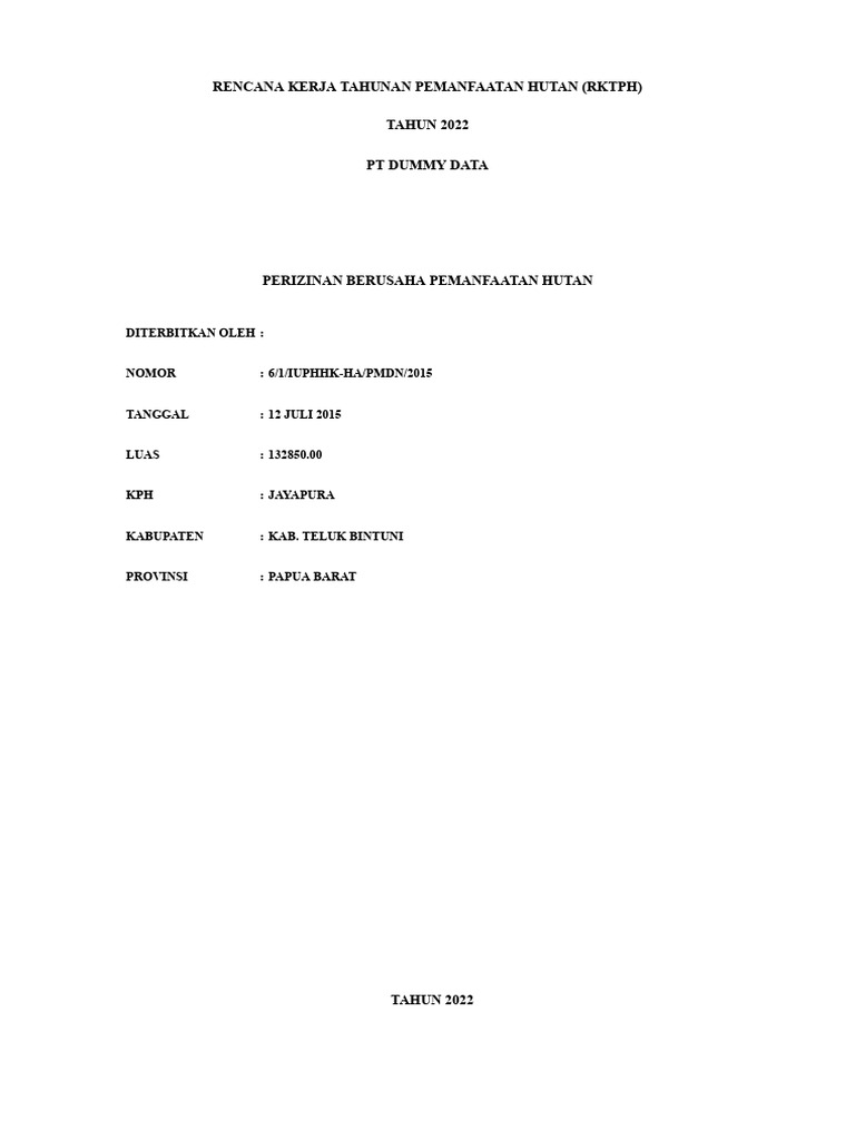 RKT Tahun 2022 - PT Dummy Data-07072022rv | PDF