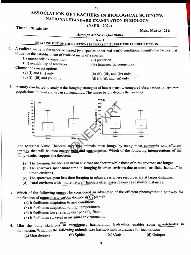 NSEB 2024 (1) - Watermark | PDF