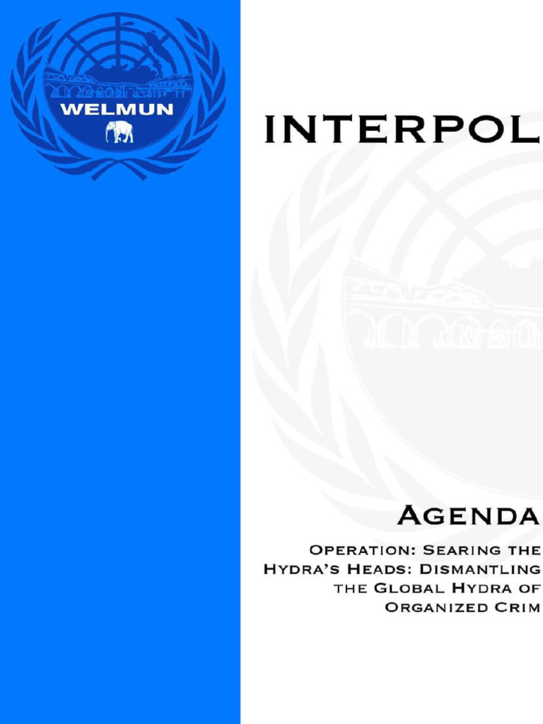 INTERPOL | PDF | Ms 13 | Organized Crime