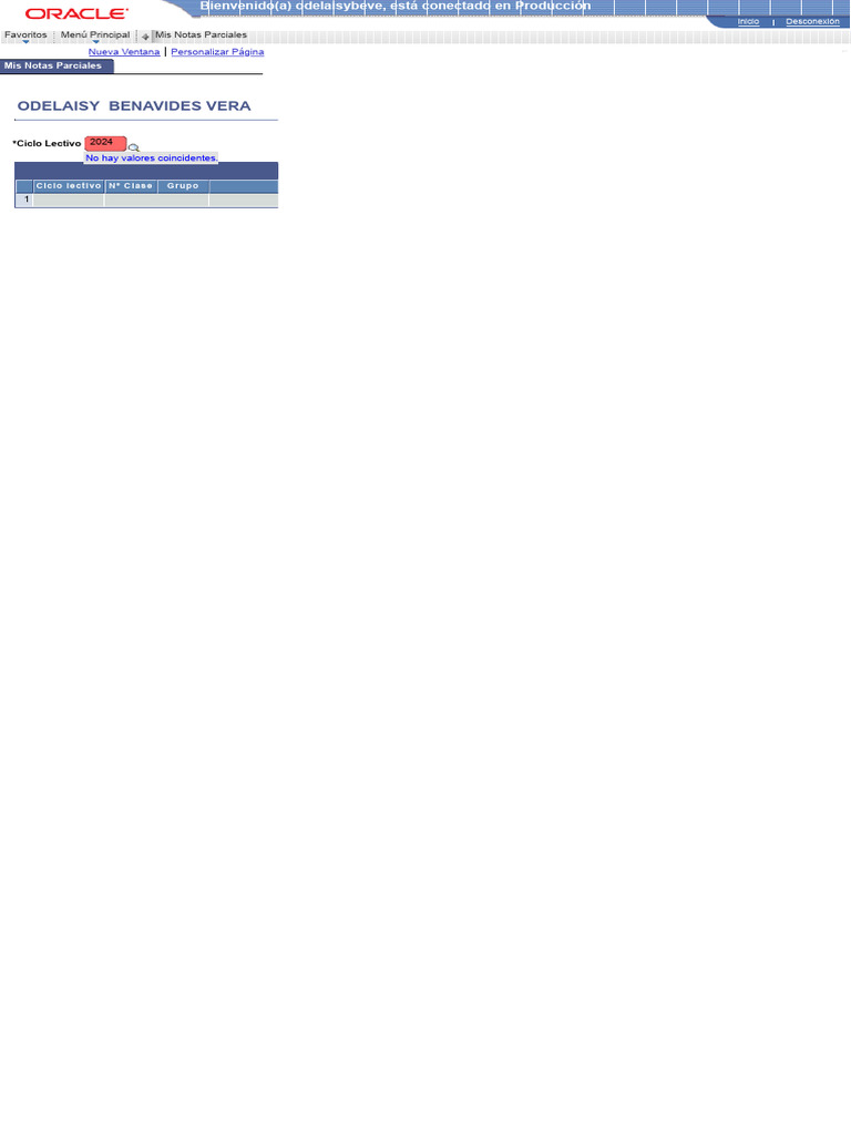 Mis Notas Parciales 2 Pdf